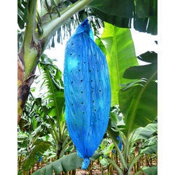 Products >> Banana bunch cover >>